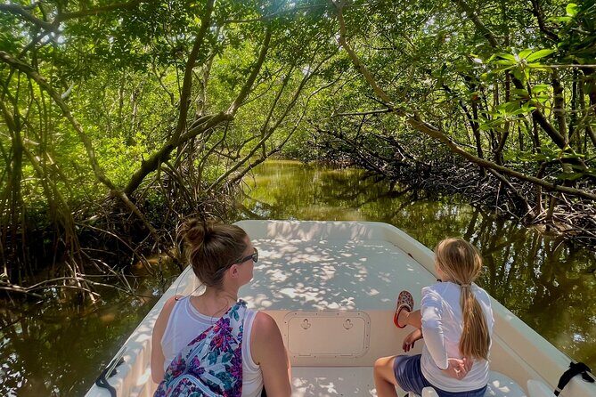 Everglades Mangrove Wilderness Boat Tour - Why This Tour Offers Great Value