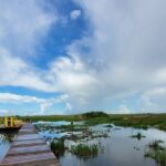 Everglades National Park Naturalist Led Hike, 2 Boat Trips + More - What Travelers Say