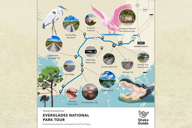 Everglades National Park Self-Guided Audio Tour - What You Can Expect During Your Day