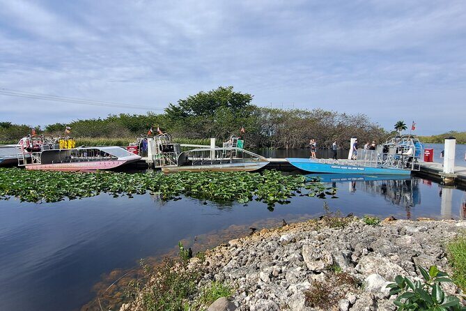 Everglades Tour from Miami Beach with Transportation - The Itinerary and What It Means for You