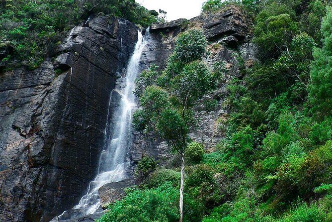 Exclusive : Explore Countryside of Nuwara Eliya by Tuk-Tuk - Practical Details: Timing, Transportation, and Participation