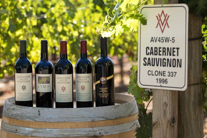 Exclusive Napa Valley Wine Tour - A Closer Look at the Experience