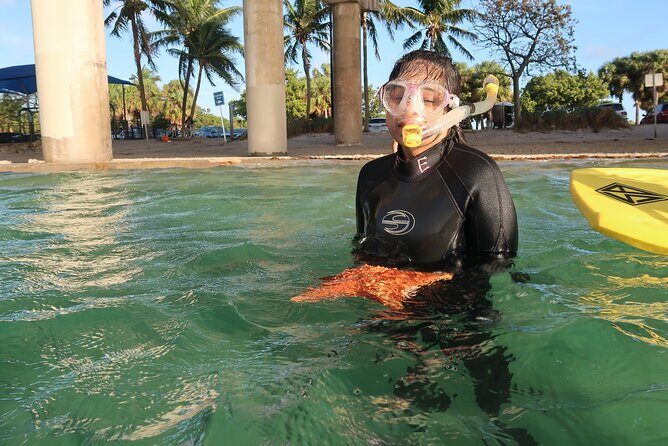 Exclusively Private Snorkel Adventures Training & Tours Ultimate - The Value of This Snorkeling Tour