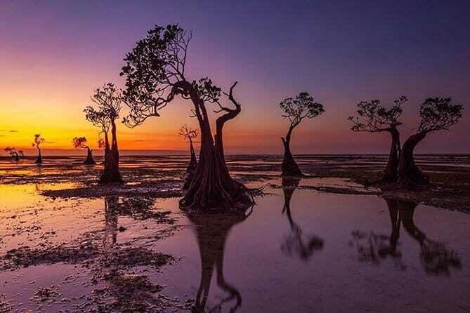 Exotic Sumba Island in 3 Days Private Tour: Beach, Hills, Waterfall - Why This Tour Is a Great Choice