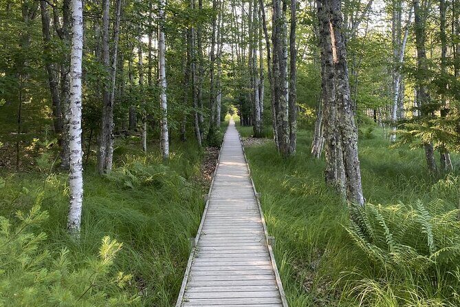 Experience Acadia: Private 3-hr tour with local guide. - The Sum Up