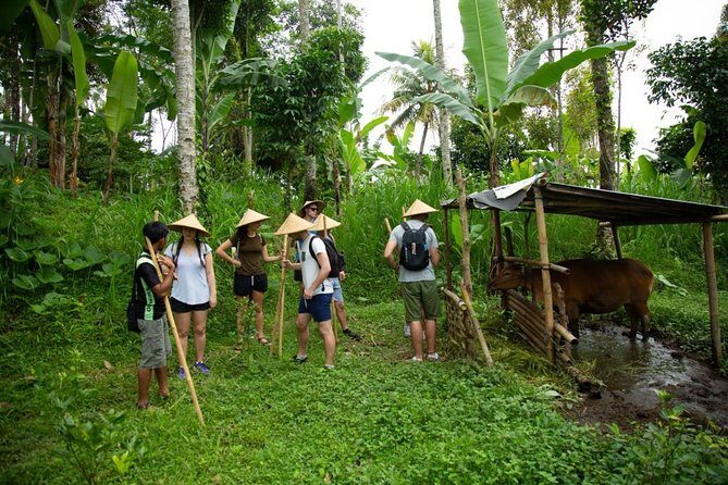 Experience Authentic Balinese Village Life on a Day Trip - Ubud - Culinary Adventures: From Forest to Table
