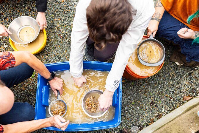 Experience Mining For Genuine Montana Sapphires in Seattle - Why This Tour Works