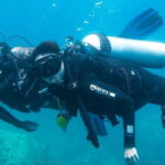 Experience Nha Trang Scuba Diving with Certified Dive - What the Reviews Say