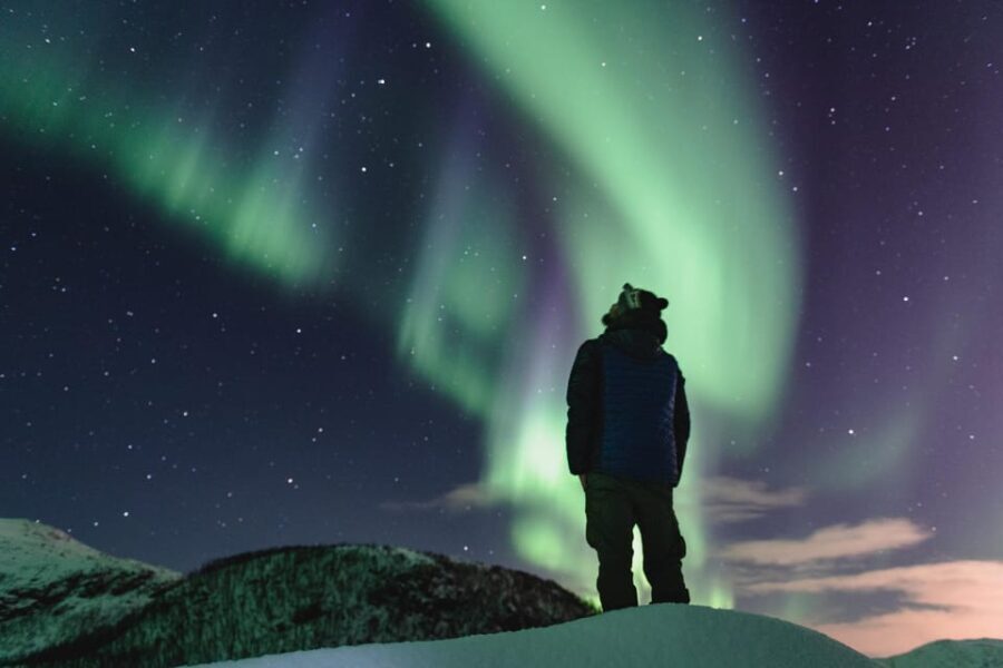 Experience the Magic of the Northern Lights in Lofoten! - Who Should Consider This Tour?