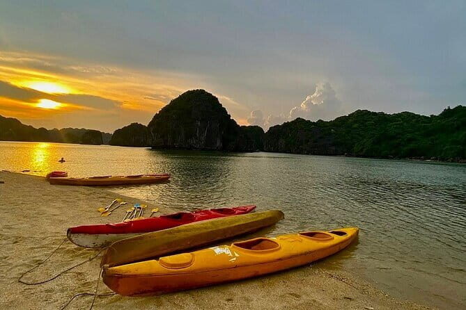 Experience the Sunset and Plankton Bioluminescent Night Kayak - Why This Tour Shines
