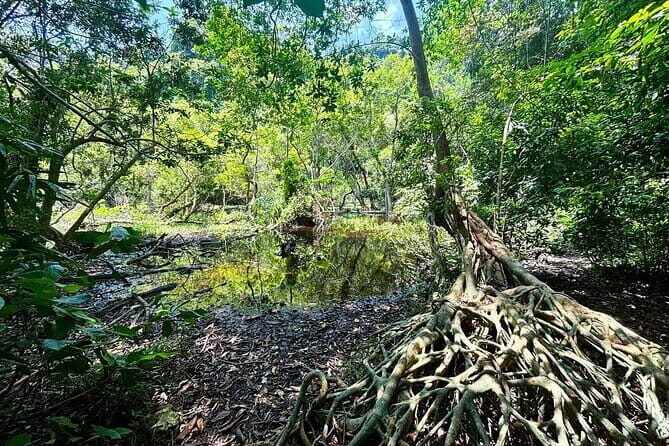 Explore Cat Ba National Parks Hidden Wonders: Hike, Bike, Kayak - Exploring Viet Hai Village and Local Life