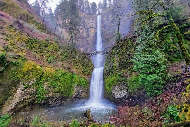 Explore Columbia River Gorge Half-Day Small-Group Hiking Tour - Introduction: What to Expect from the Tour