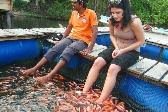 Explore Nature and Heritage in Galle from Negombo (All inclusive day tour) - Transportation and Logistics