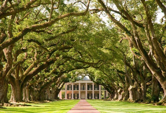 Explore Oak Alley Plantation Guided Tour with Transportation - Analyzing the Cost and Value