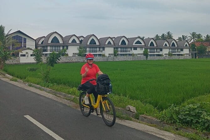 Explore Rice Fields and Hidden Villages with Ubud E-Bike Tour - Whats Included and Whats Not
