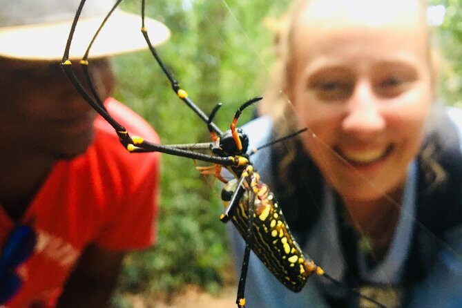 Explore Singharaja Forest Reserve (mirissa/weligama & Galle) - Authentic Encounters and Genuine Reviews