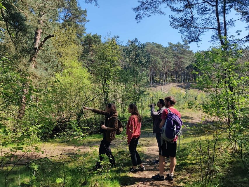 Explore Sobieszewo Island: Nature Walk & Wildlife Tour - A Detailed Look at the Sobieszewo Island Tour