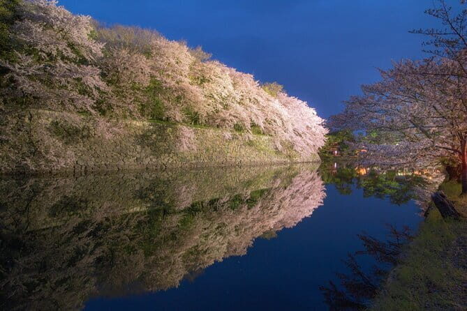 Explore the Historic Castle Town of Hikone from Osaka - The Itinerary: What to Expect at Each Stop