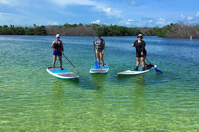 Explore the Mangrove Creeks with an ALL Day Tandem Kayak Rental - A Close Look at the Experience