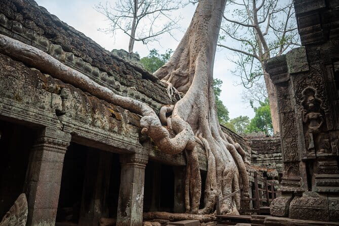 Explore the real Siem Reap Cambodia with a local guide - Who Will Appreciate This Tour?