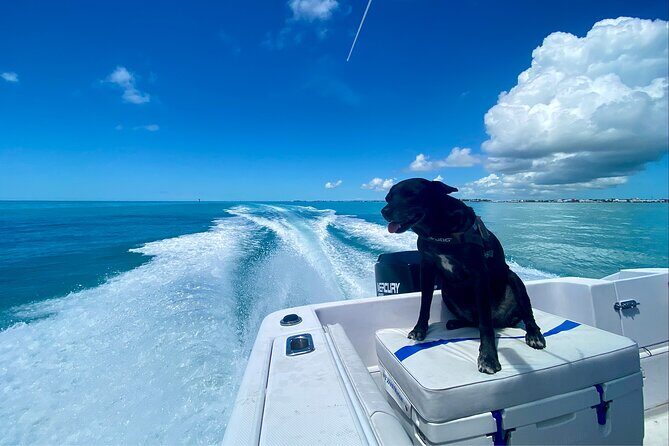 Explore the Waters of Key West - Final Thoughts
