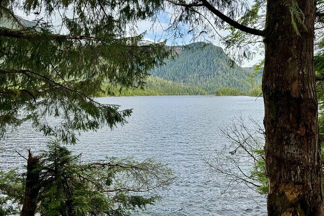 Explore Tongass National Forest on Connell Lake Trail Hike - Authentic Traveler Insights and Practical Tips