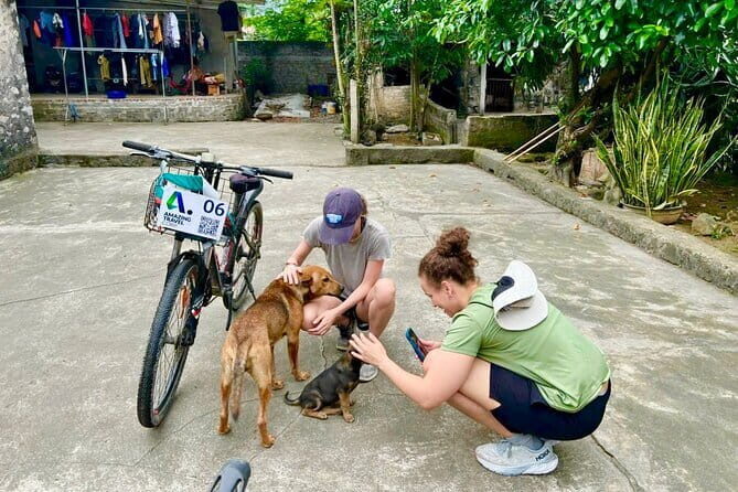 Explore Trang An, Bich Dong, Mua Cave Small Group Tour from Hanoi - Who Would Love This Tour?