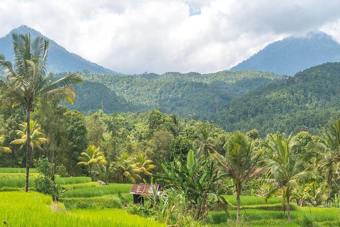 Exploring Munduk Village (Waterfalls, rice terrace, Traditional local house) - Authenticity and Personal Touch