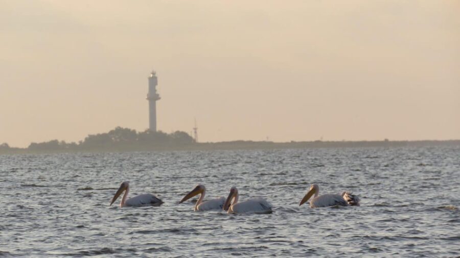 Exploring the Magic of the Danube Delta through photo lenses - A Full Breakdown of the Danube Delta Photo Tour