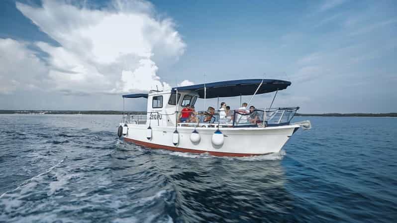 Faana: Sail like a president with Brijuni Panorama - Who Is This Tour Best For?