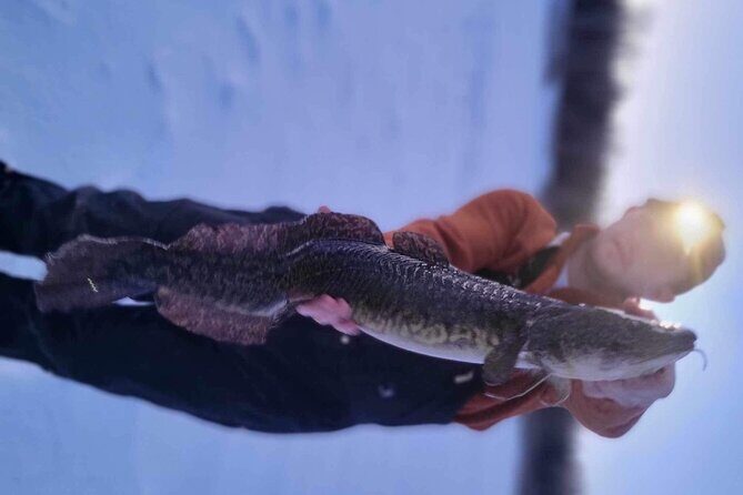 Fairbanks Ice Fishing with Transportation - Who Should Consider This Tour?