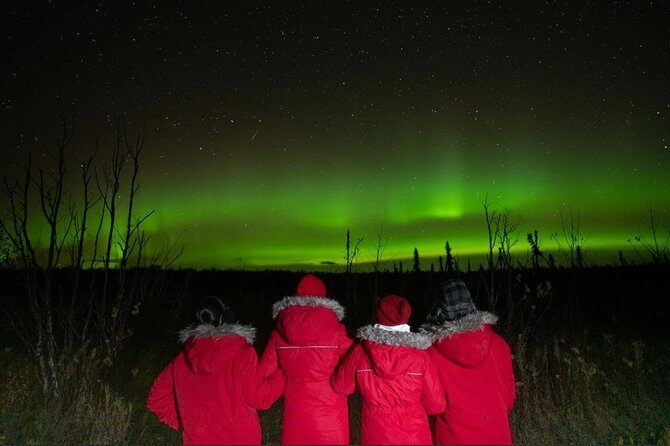 Fairbanks Northern Lights Tour - Practical Considerations and Final Thoughts