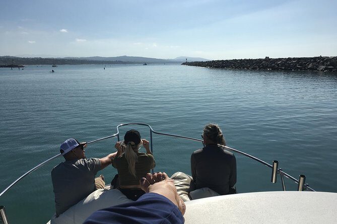 Family and Private Group Whale and Dolphin Watching - An In-Depth Look at the Dana Point Whale and Dolphin Watching Experience