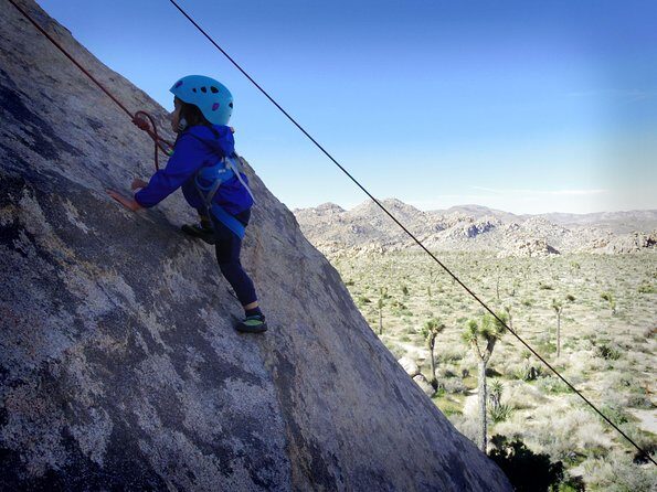 Family Rock Climbing Trips in Joshua Tree National Park (6 Hours) - What Travelers Say