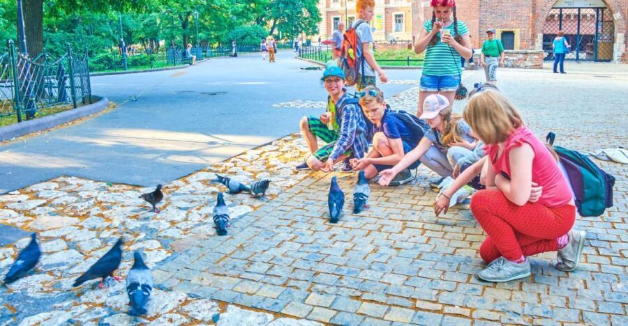 Family Tour of Krakow Old Town with Sweets Factory & Cruise - The Sweet Factory: Candy-Making Magic