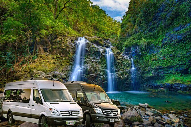 Famous Road to Hana Waterfalls, Black Sand Beach & Lunch - Who Should Book This Tour?