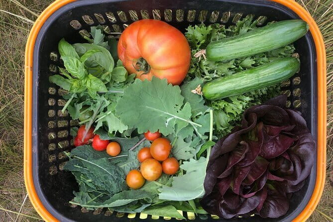 Farm to Table: Organic Farm Visit and Mongolian Cooking Class - Hands-On Cooking: Making Mongolian Classics
