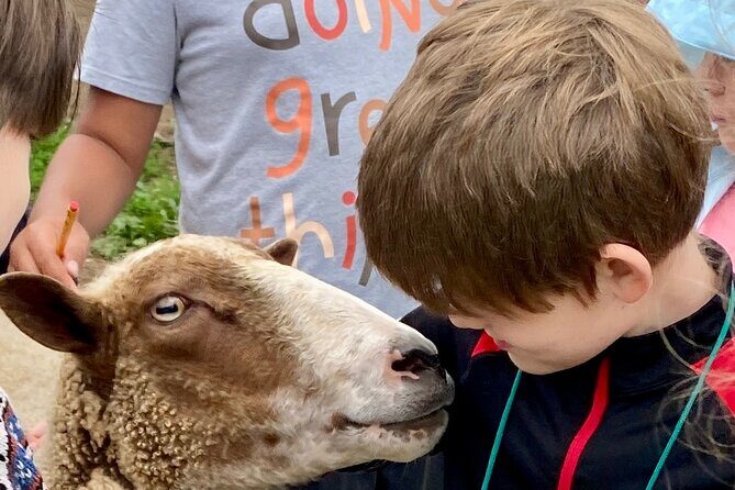 Farm Tour at Clover Brooke Llama/Alpaca/Goat Farm - Final Thoughts