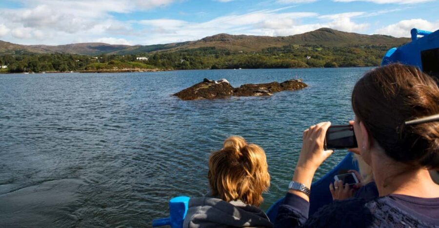Fastnet Rock Lighthouse direct boat tour-Baltimore.Guided. - The Itinerary: A Closer Look at the Highlights