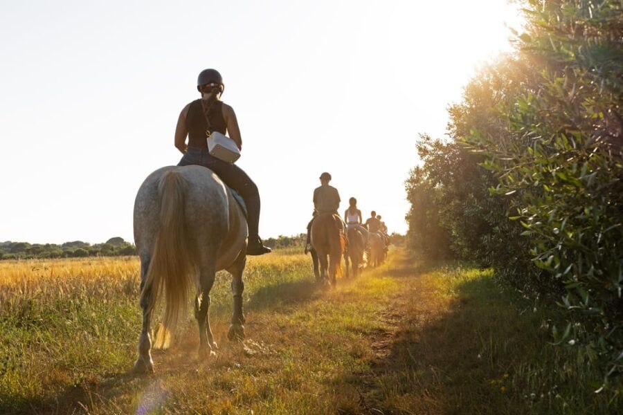 Fazana: Sunset 1-hour Horse Riding in Nature with Guide - A Thorough Look at the Horse Riding Experience