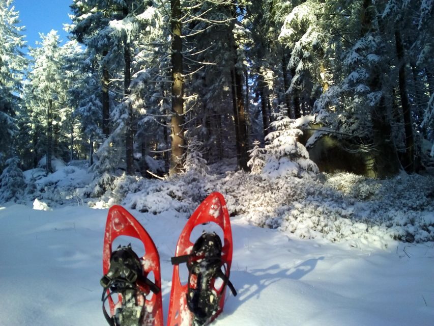 Fichtelgebirge: snowshoe hike - The Itinerary in Detail