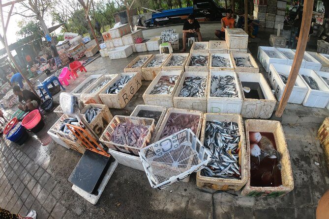 Fish & Traditional Market Package Visit - Who Should Consider This Tour?
