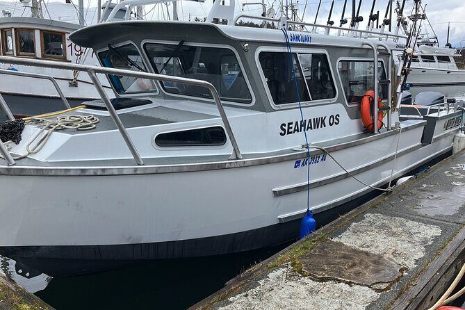 Fishing Whale Watching Hoonah Alaska - The Sum Up: Who Benefits Most from This Hoonah Tour?