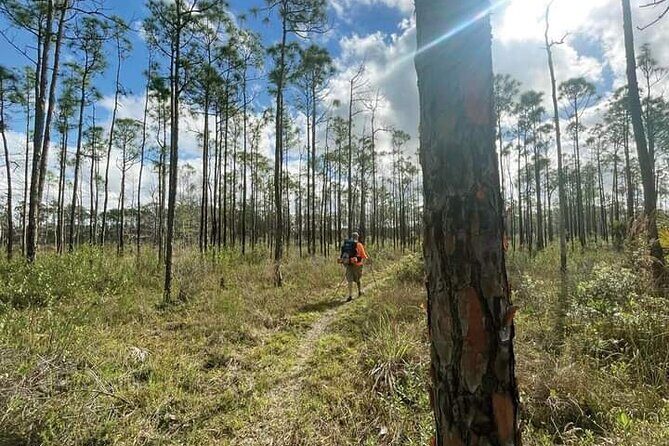 Florida Backcountry Overnight Camping Adventure - Who Will Enjoy This Tour?