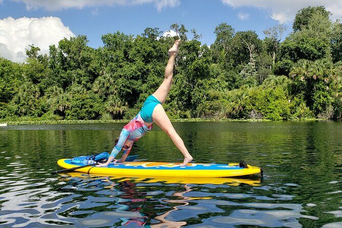 Florida Freshwater Springs Paddle Board Tour - Who Will Love This Tour?