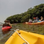 Florida Keys Eco Tour: Snorkel, Kayak, Lunch + Transportation! - Why Travelers Rave About This Tour