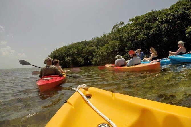 Florida Keys Eco Tour: Snorkel, Kayak, Lunch + Transportation! - Why Travelers Rave About This Tour
