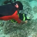 Flotation Therapy - Rental Float Suits, Goggles, Headphones 24 hr - An In-Depth Look at the Maui Snorkeling Experience