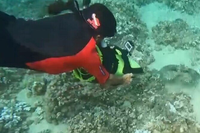 Flotation Therapy - Rental Float Suits, Goggles, Headphones 24 hr - An In-Depth Look at the Maui Snorkeling Experience