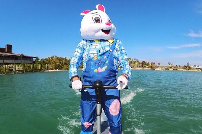 Fly Above Ocean Adventure on a Flite Scooter! - Making the Most of Your Flite Scooter Experience